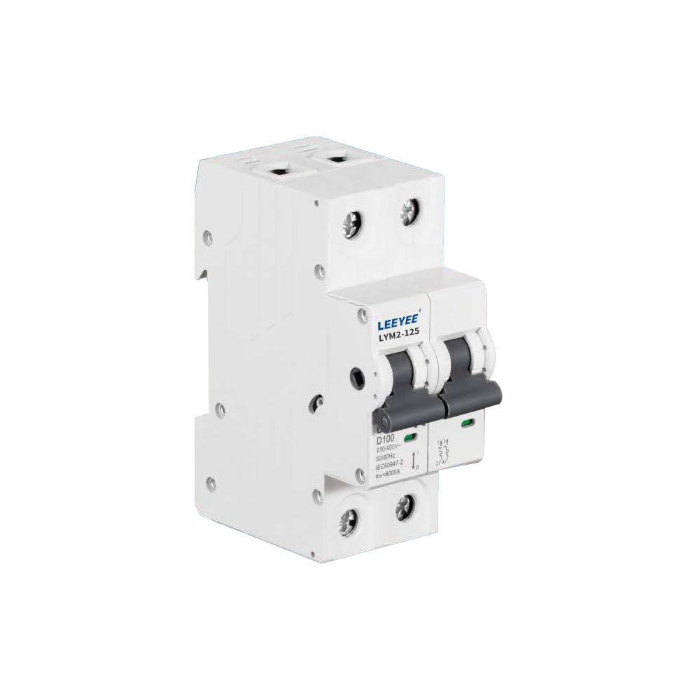 Miniature Circuit Breaker(MCB) LYM2-125 - Surge Protector, Surge ...